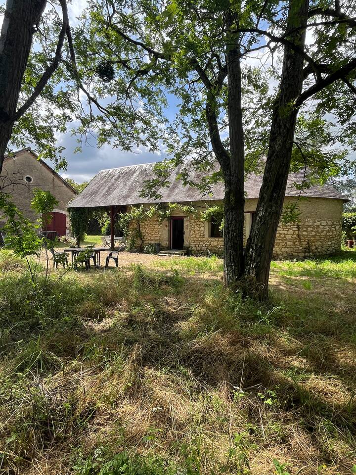 Chaumière De L'isle En Brenne - Indre