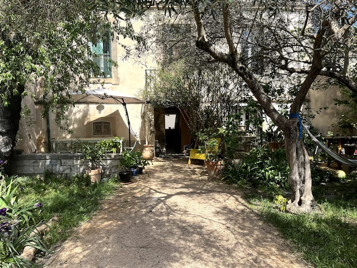 Charmante Maison De Ville - Arles