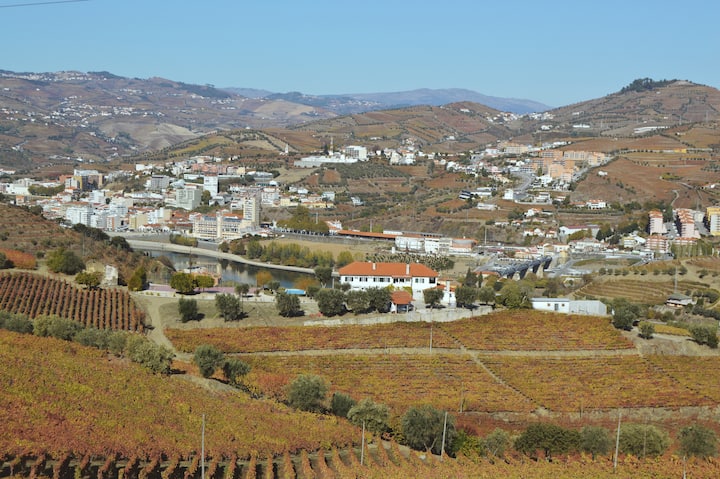 Casa Da Formiga Turismo E Vinhos - Tarouca