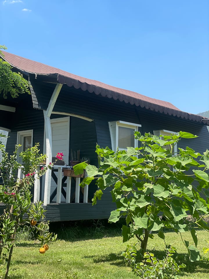 Akyaka ‘Ya Yakın Ağaç Ev - Akyaka