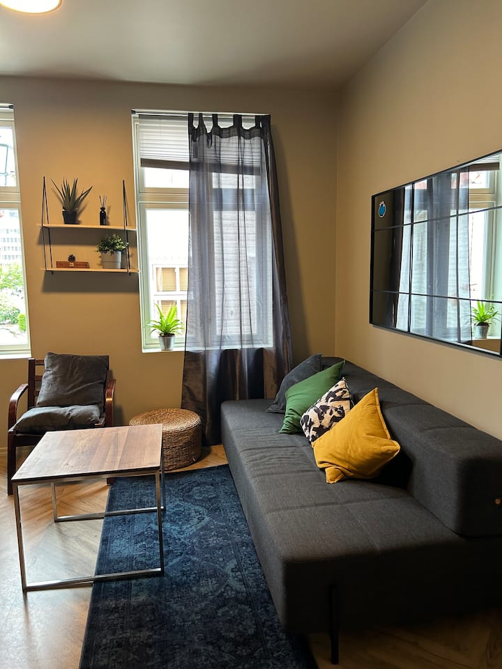 Cozy Place In The City Center! - Bergen, Norway