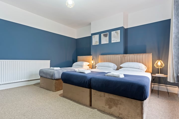 Sapphire Stadium Nest| Large Dig | - Birmingham