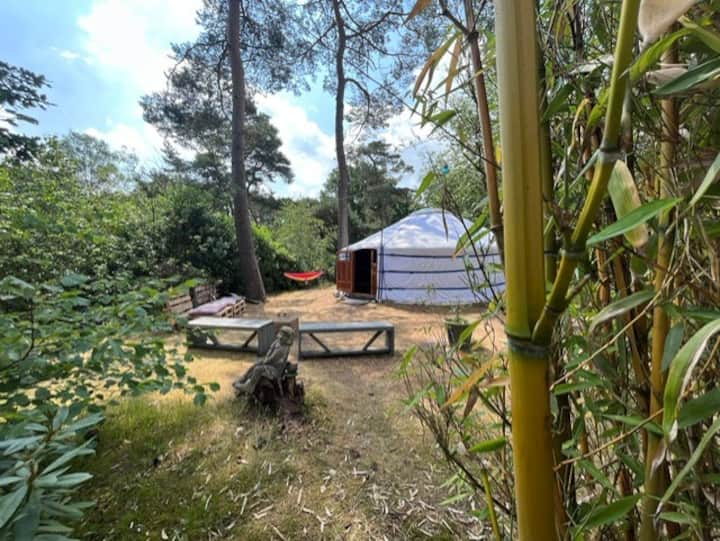 Yurt Op De Veluwe - Een Unieke Kampeerbeleving! - Ermelo, Netherlands