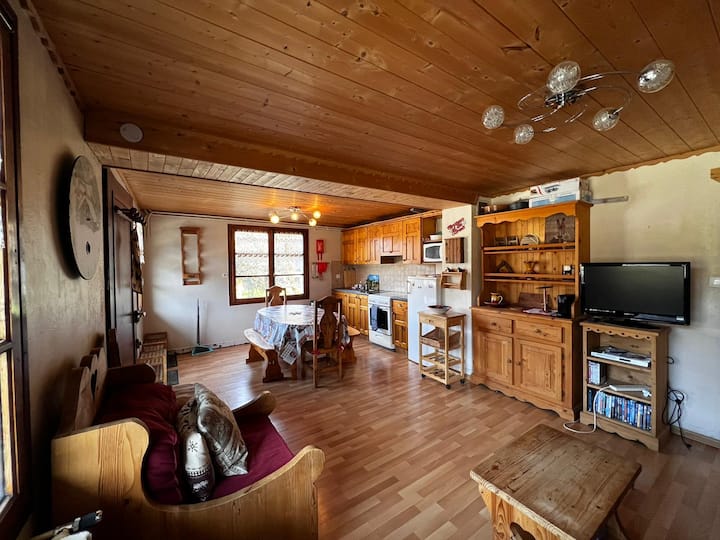 Ground Floor | Flat Walk To Town | Ski Bus Route - Avoriaz