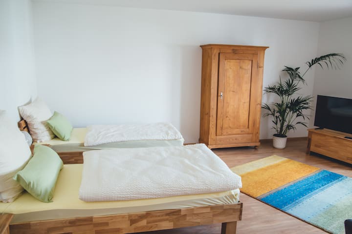 Müller-thurgau Apartment Im Weingut Leininger - Würzburg