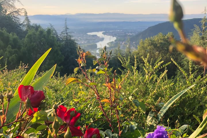 Accueil Vélo Via -Rhôna - Lemps
