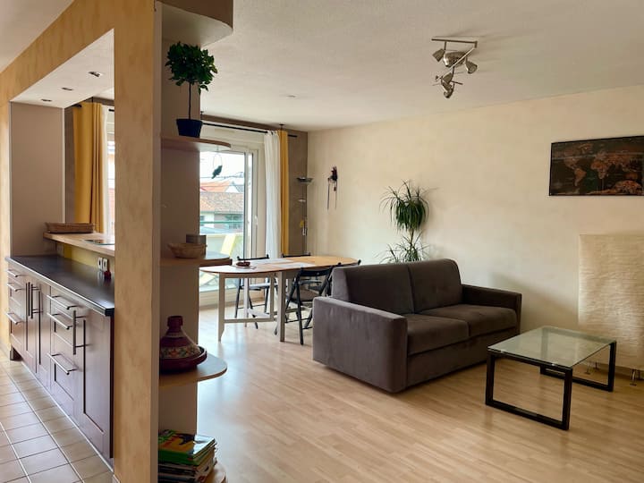 Dans Le Centre Mais Au Calme : Joli Appt Bonnefoy - Tolosa, Francia