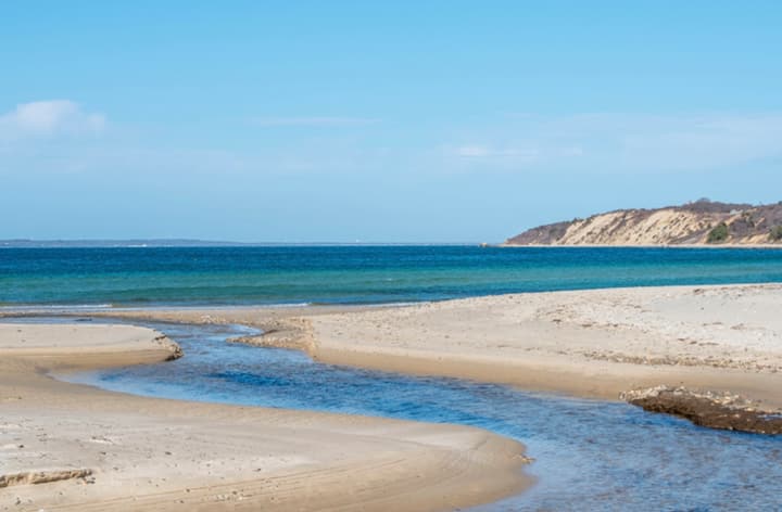 Lambert's Cove Country Charm - Chilmark, MA