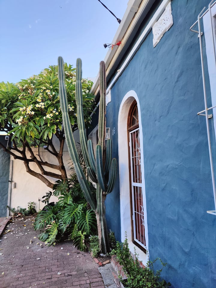 Gorgeous House With Private Pool - Cape Town