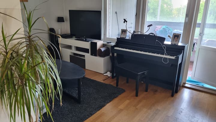 Cosy Flat Stockholm/gröndal - Stockholm