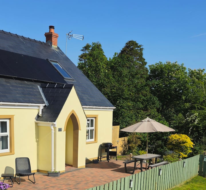 Bright And Modern Rose - Manorbier