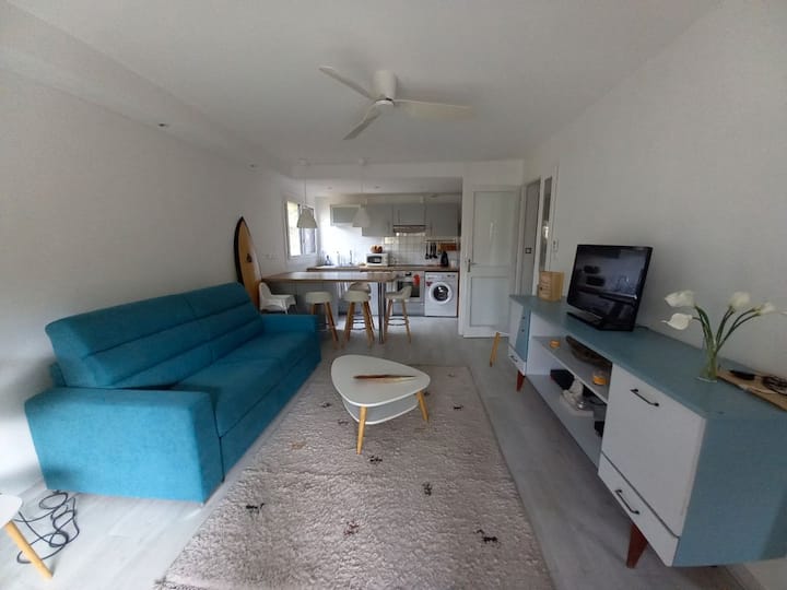 Joli T3 Rénové Plage Le Penon - Seignosse