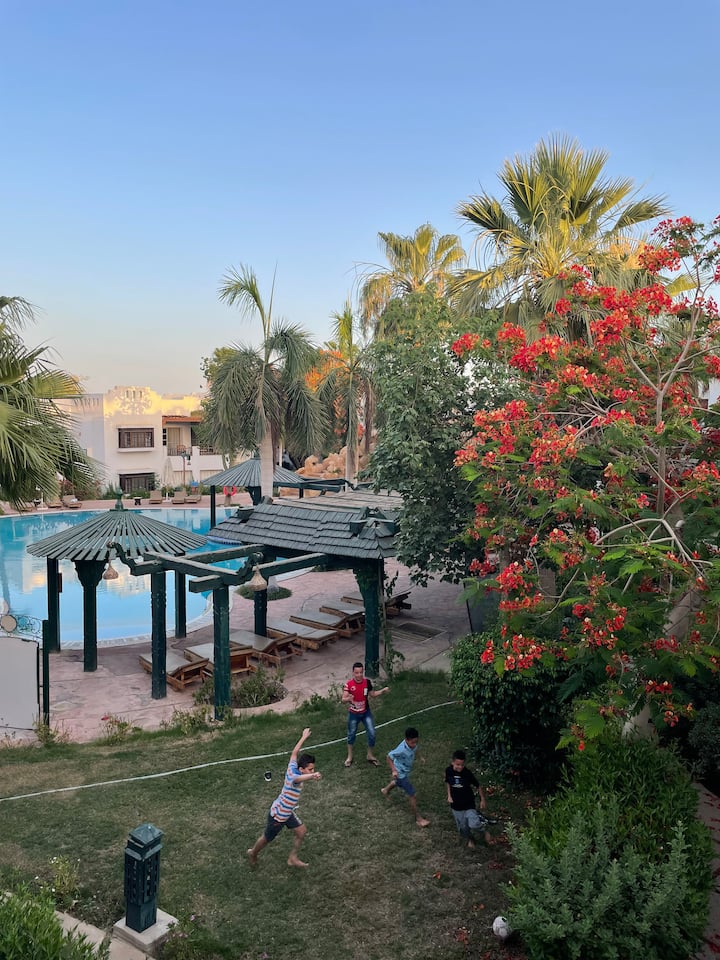 Дельта Шарм 114/205 - Sharm El-Sheikh