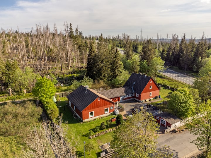 Hirsch: Hänsel Home | Garden | Barbecue | Forest - Harz