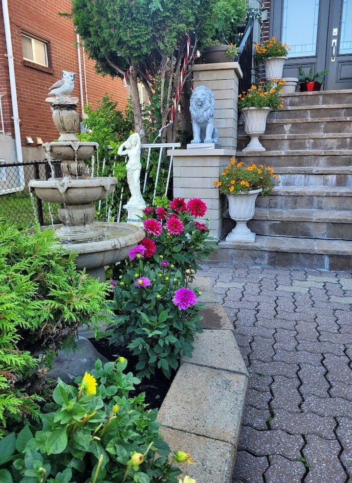 Very Clean And Cute - Dorval