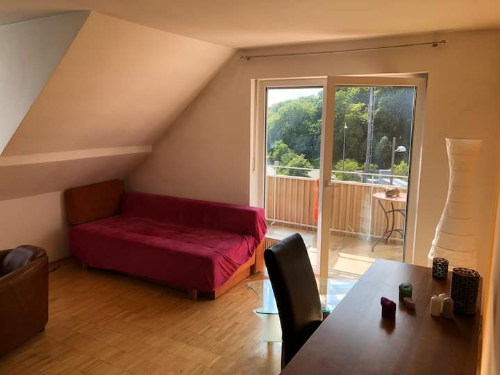 Gemütliche Dachwohnung /Westpark - Grünwald
