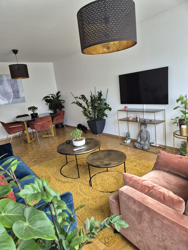Appartement Centre De Genève - Geneva
