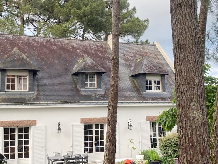 Maison Sous Les Pins, à 1km De La Roche Bernard - La Roche-Bernard