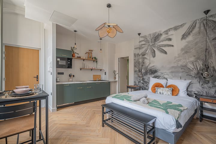 Le Félix Appart'hotel ~ Studio 002 - Romans-sur-Isère