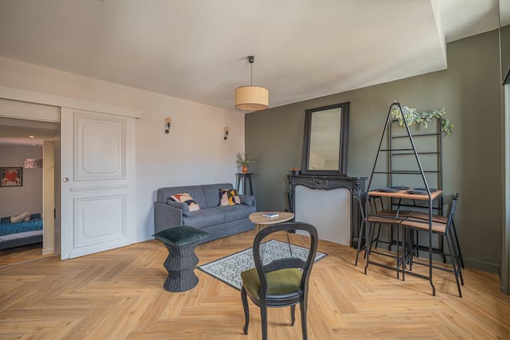 Le Félix Appart'hotel ~ Appartement 101 - Romans-sur-Isère