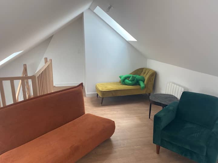 Appartement Neuf Plein Center - Lille