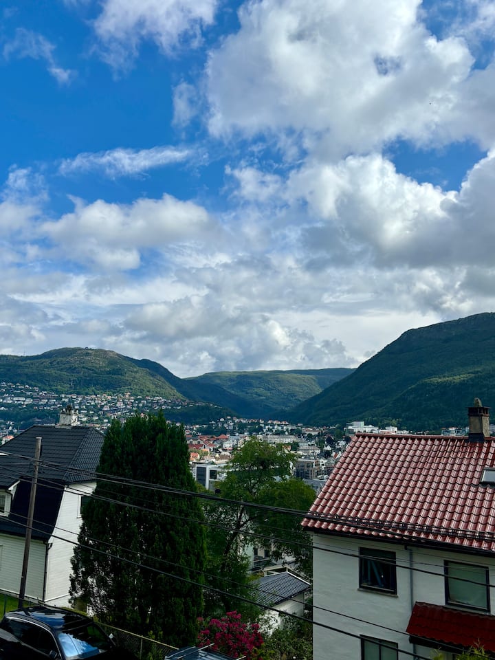 Sentral Leilighet Med Utsikt - Bergen