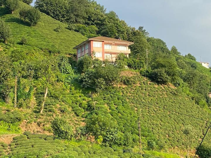 Sahile Yakın Müstakil Ev - Rize