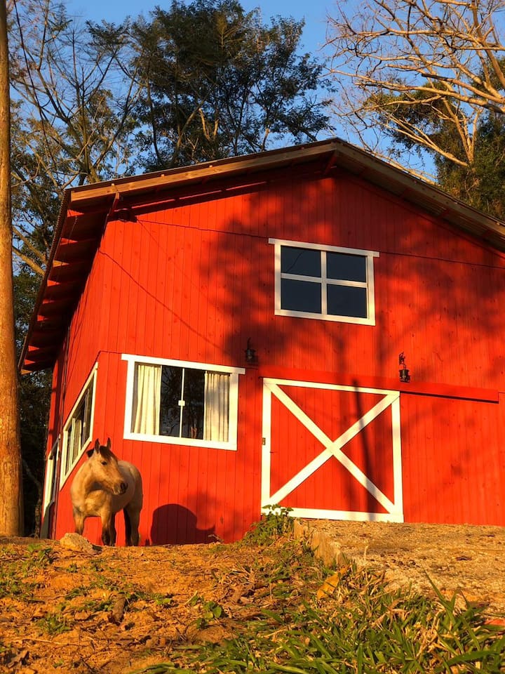 Casa Em Penha-sc - úNico Celeiro De Penha - Navegantes