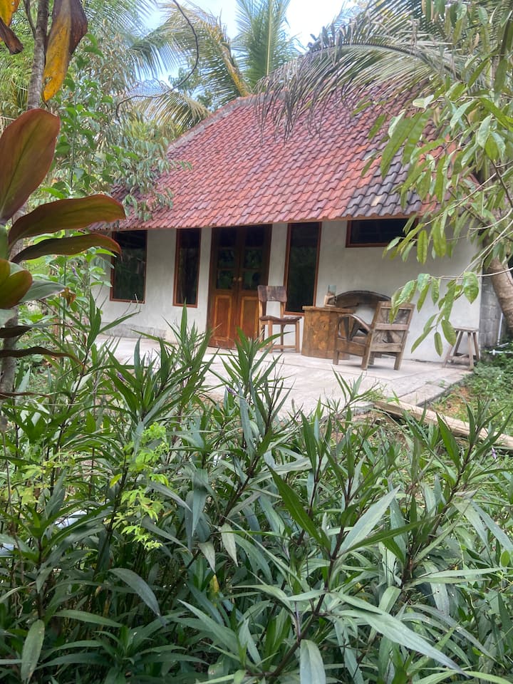 Jungle Therapy Connection - Munduk