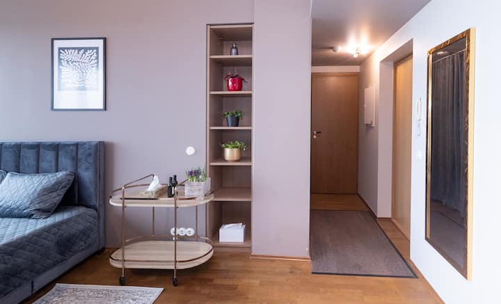 Revalia Fahle 10 Floor Lake View Airport Studio - Tallinn