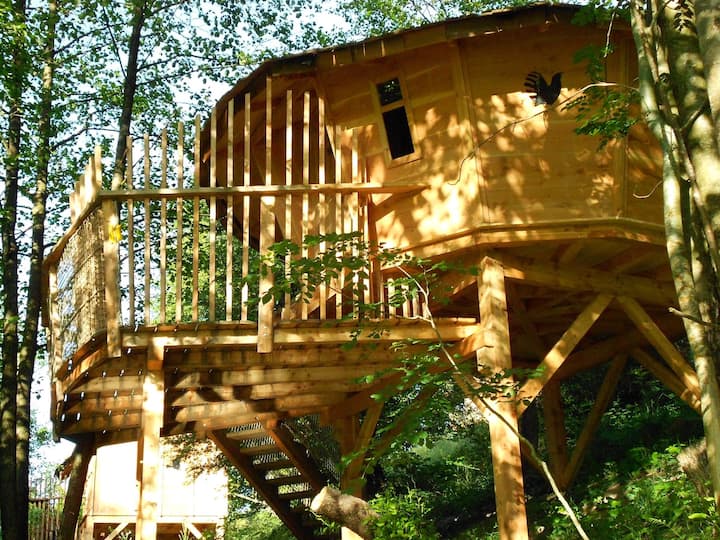 Cabane Au Fil De L'eau - Alsace - Schirmeck
