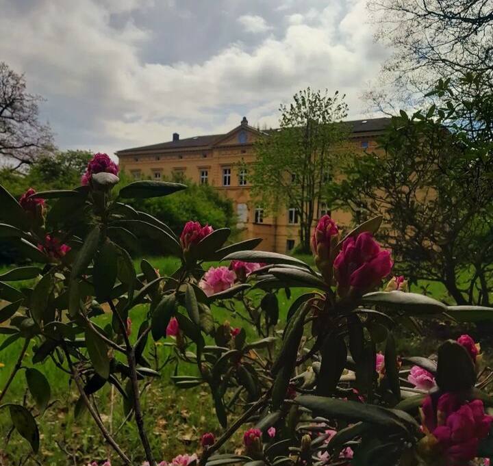 Märchenschloss Tressow - Bad Kleinen