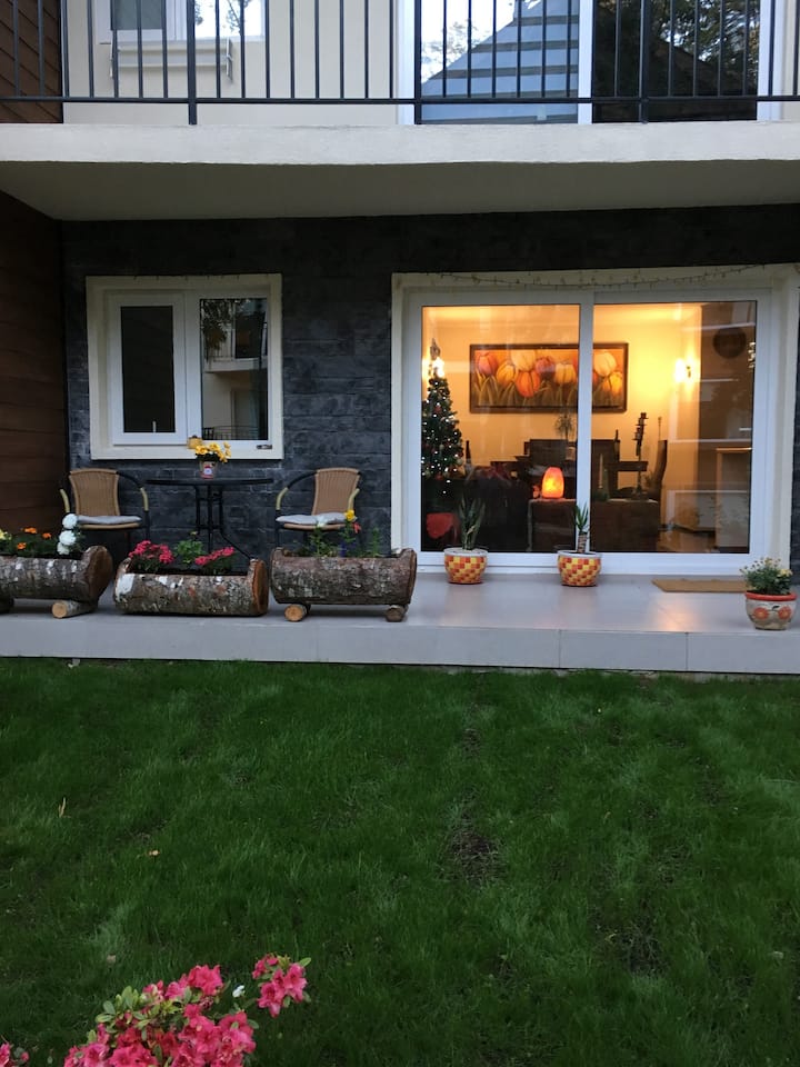 Bosque, Volcán, Tranquilidad - Pucón