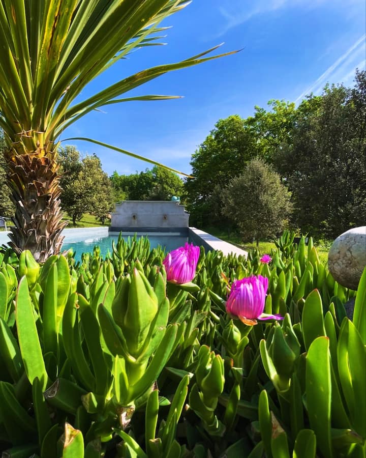 Superbe Gîte 3 * * *
Plateau Valensole - Riez