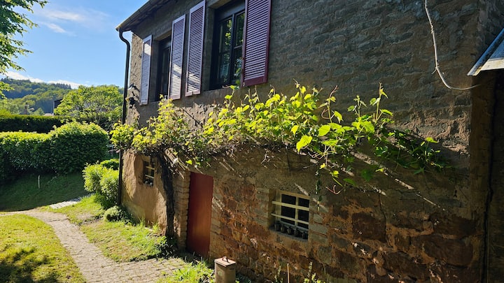 Gite " Le Botanique " - Moselle
