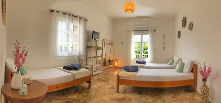 Cappari House - Paros