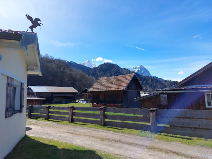 Alpspitzbergnest - Grainau