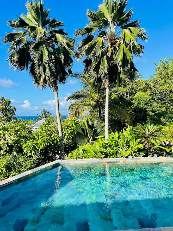 Vue De Rêve Dans Une îLe De Rêve - Marie-Galante