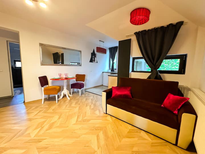 The Vintage | Wonderful Apartment In Best Location - Craiova