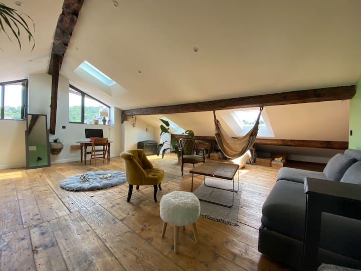 Le Duplex Du Centre Historique - Chambéry