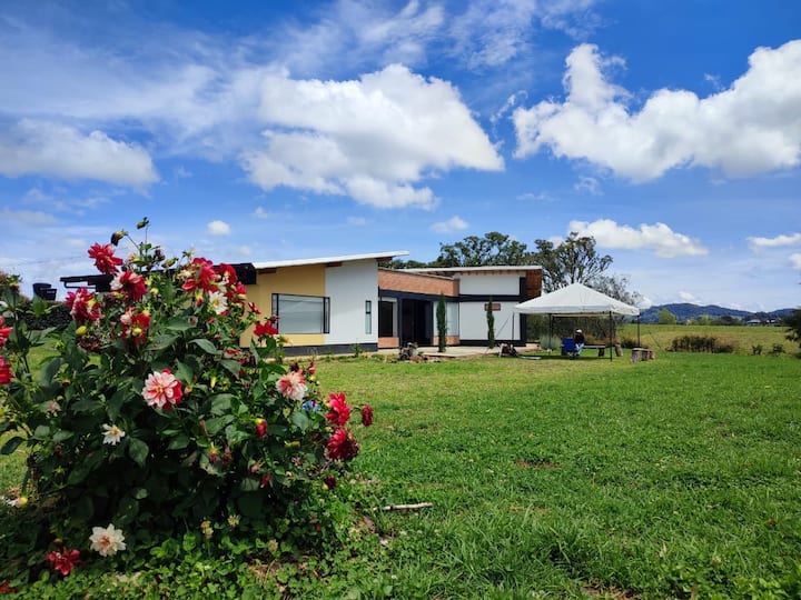 La Tranquilidad Del Campo. - San Pedro