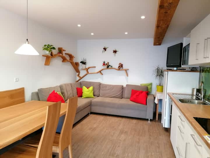 Weingut Hofer Hof  App.sylvaner Mit Zirmholzsauna - Brixen