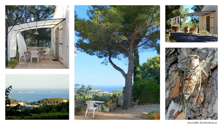 Maison Au Calme Sur Les Hauteurs - Le Castellet