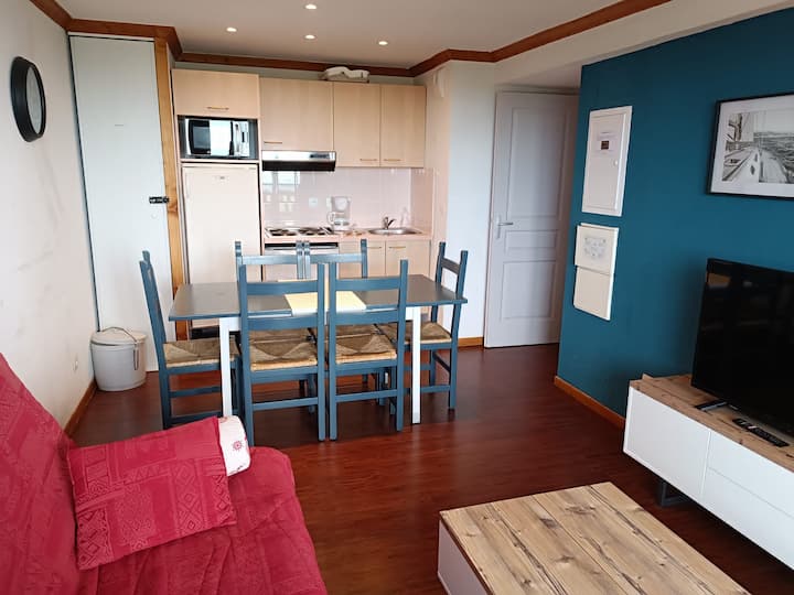 Appartement 4/6 Personnes Vue Montagne Super-besse - Chastreix