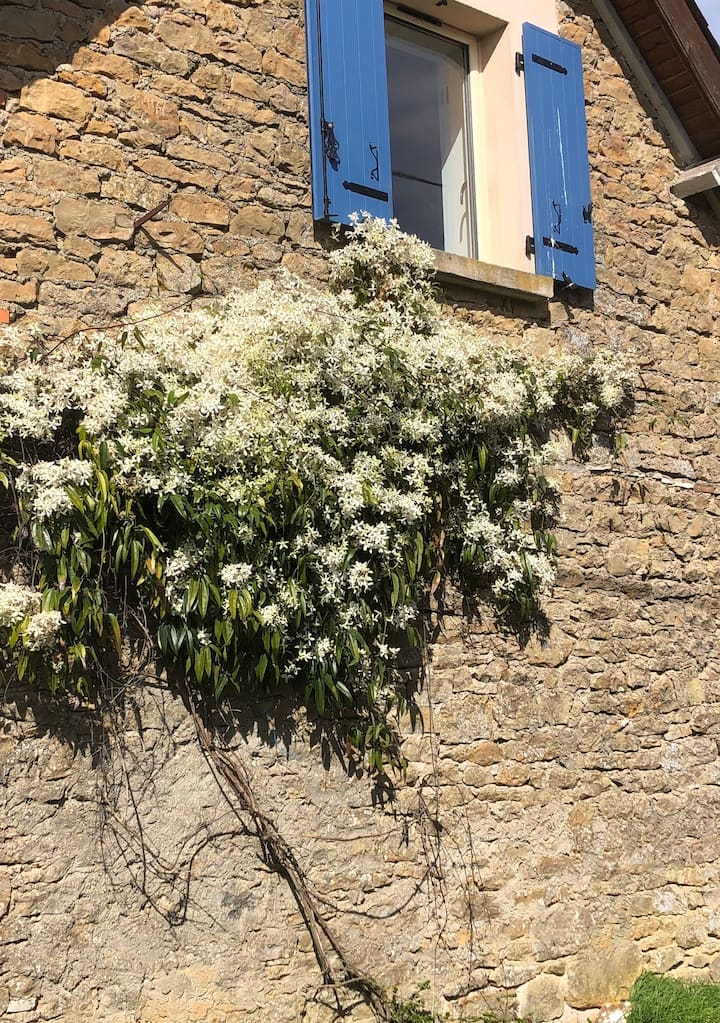 Les Jasmins - Rocamadour