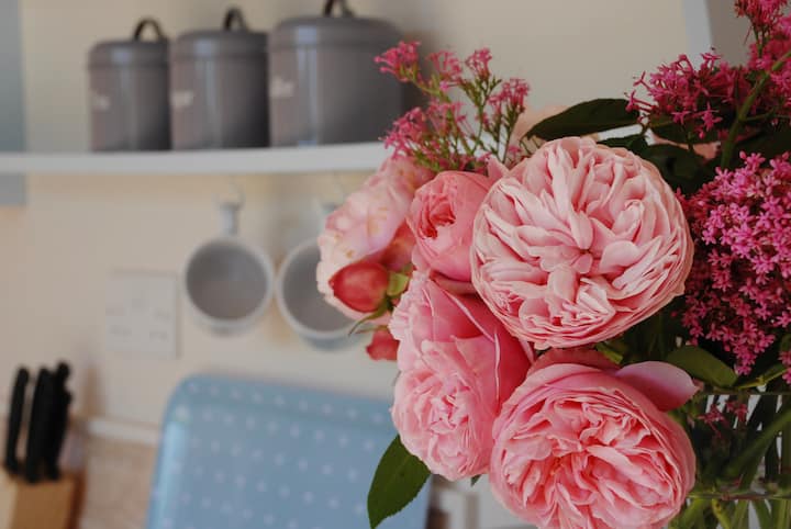 Apple, A Charming Countryside Retreat. Warm & Cosy - Sherborne
