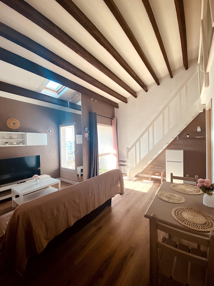 Bel Appartement Mezzanine Proche Du Port - Elne