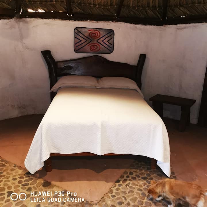 Palapa Sewa Machiria - Navojoa
