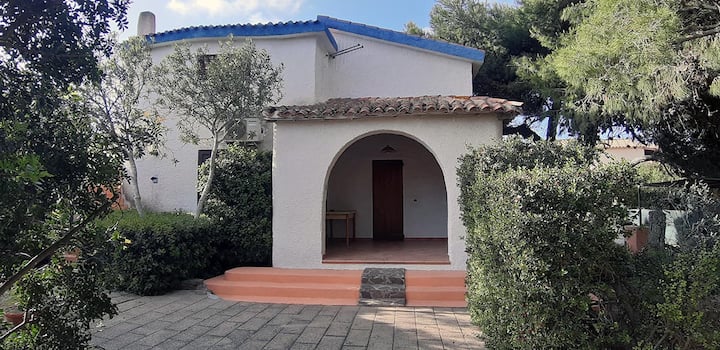 Oleandro - Calasetta