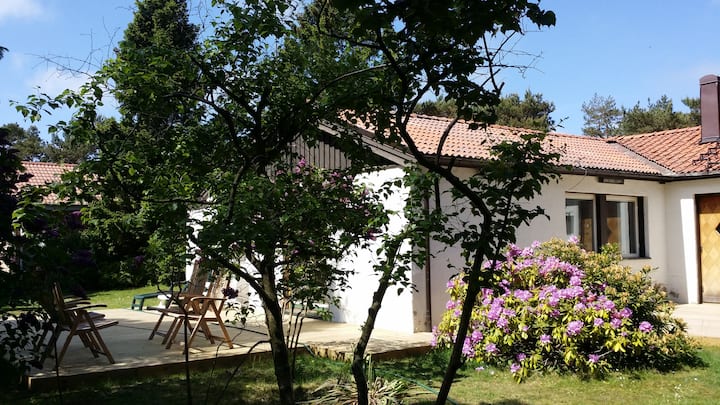 Villa Ljunghusen - Höllviken